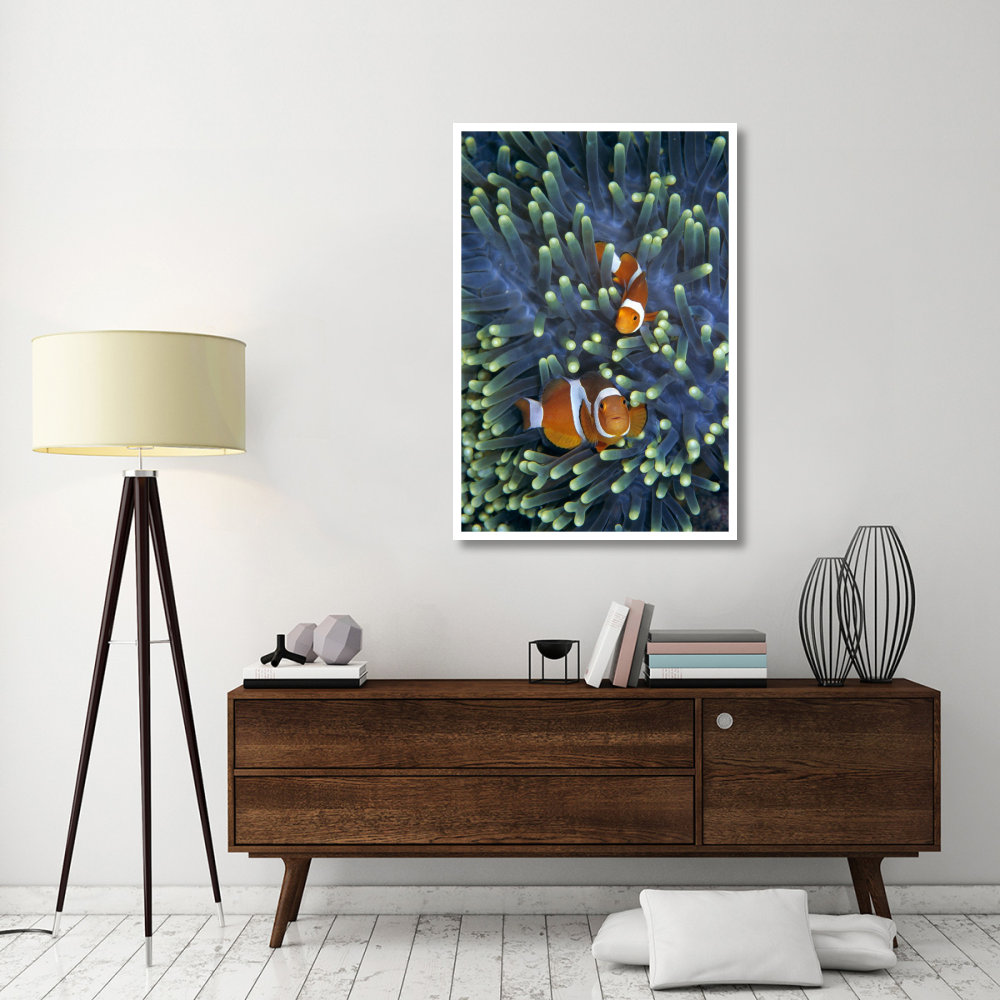 Clown Anemonefish Pair In Sea Anemone Tentacles-Paper Art, 32"x48 ...