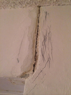 Tile to Wall Transitions - A Seamless Approach | Houzz Forum