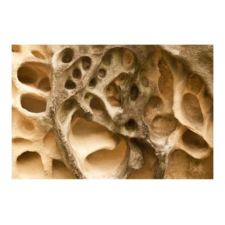 Cavernous Weathering In Sandstone Rock, Sydney, Australia-Paper Art, 24 ...