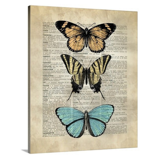 Vintage Dictionary Art: Butterfly Specimen Wrapped Canvas Art Print, 16 ...