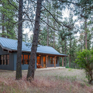 75 Beautiful Rustic Metal Exterior Home Pictures & Ideas | Houzz