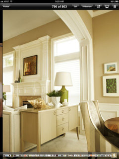 Paint color- sand color