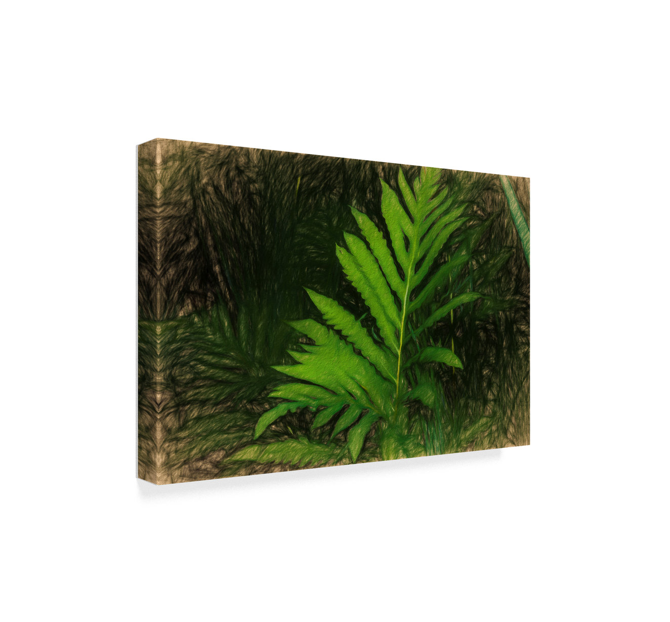 "Liquid Pencil Drawing Green Ferns" by Anthony Paladino, Canvas Art, 30 ...