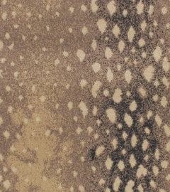 stark antelope (antilocarpa) vs prestige mills deerfield