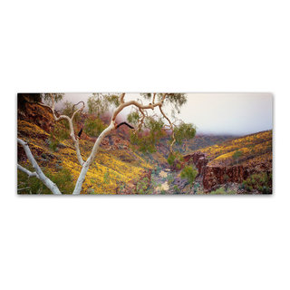'Ormiston Gorge-NT' Canvas Art by David Evans, 16" x 47" - Traditional ...