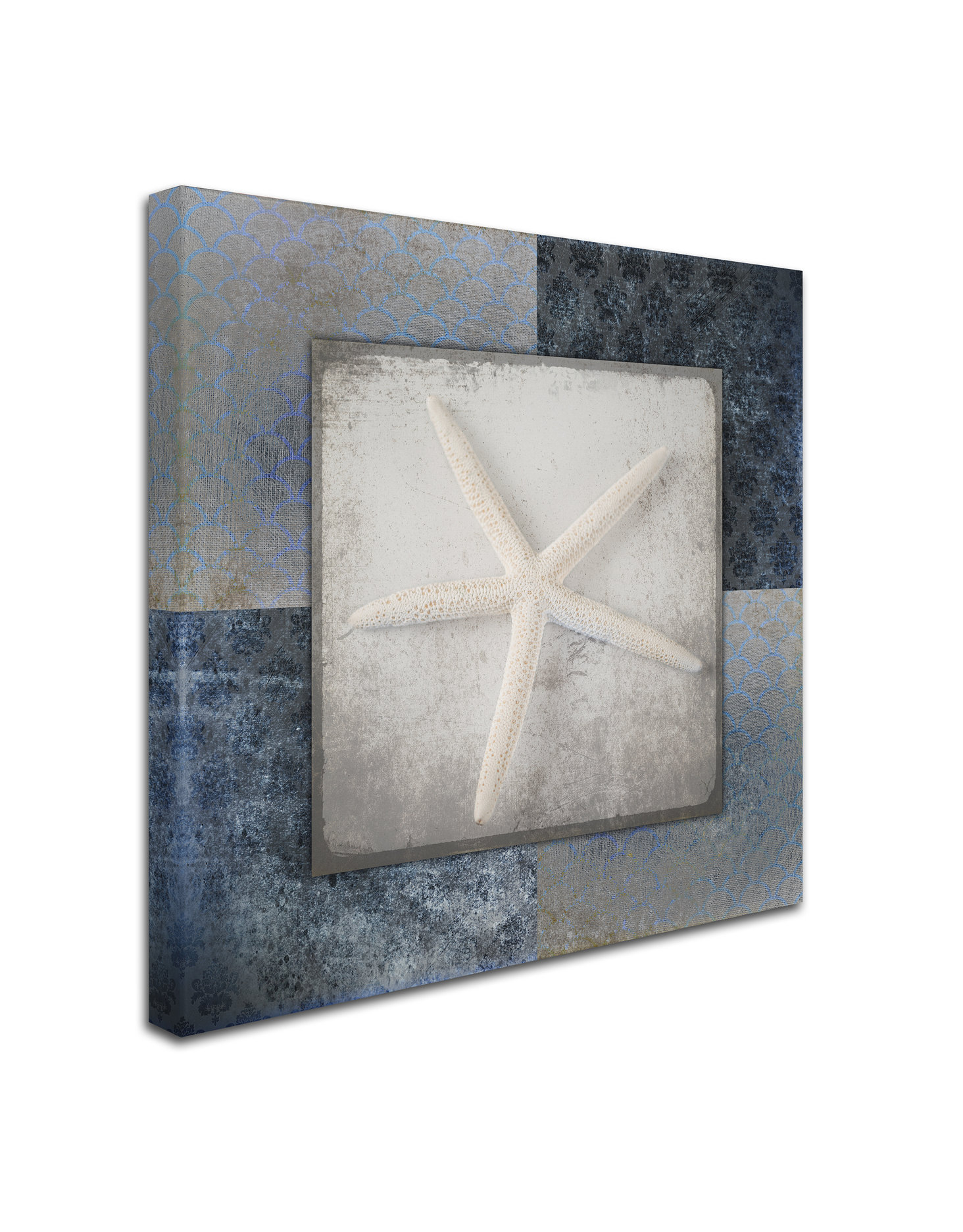 LightBoxJournal 'Blue Star Fish 2' Canvas Art, 24"x 24" - Beach Style ...