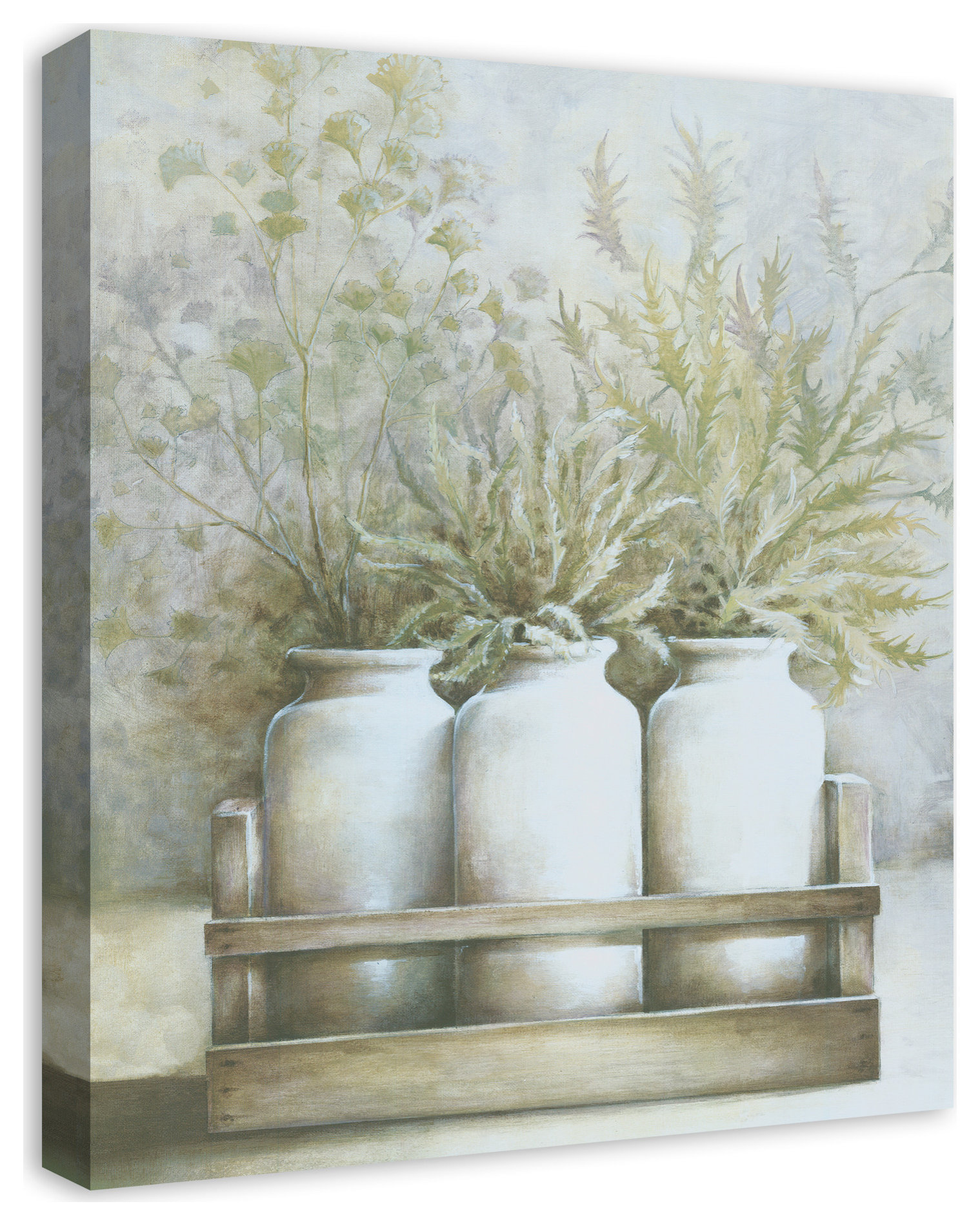 Bottled Botanicals 20x24 Canvas Wall Art, 20x24 - Contemporary - Prints ...