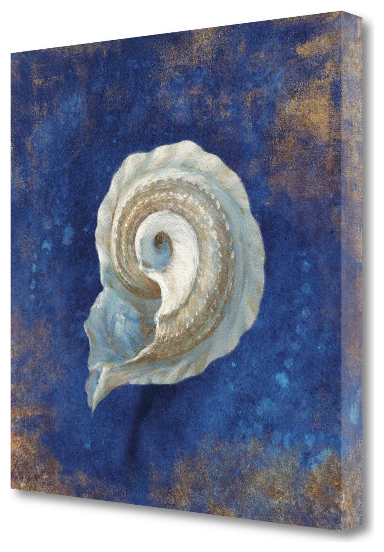 30" Rustic Deep Blue and Gold Conch Giclee Wrap Canvas Wall Art - Beach ...