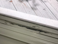 Pella Window Rot