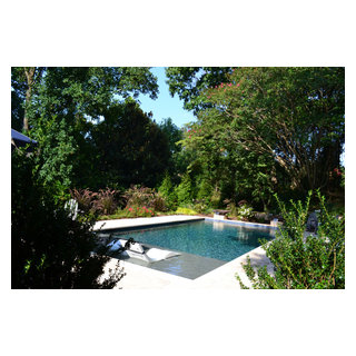 Peaceful Retreat at Home - Pool - by Cosmic Design Studio | Houzz