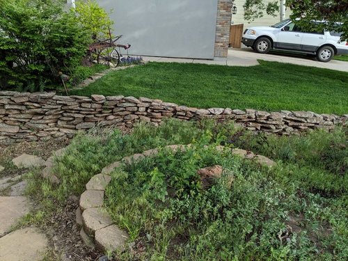 what to do with overgrown weeds in front yard