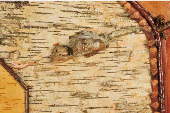 34W Birchwood Ceiling Medallion - Rustic - Ceiling Medallions - by ...