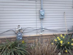 Hide an ugly electric service box attached to the house