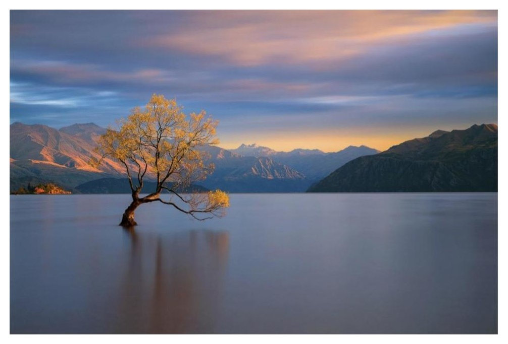 "Morning Glow" Digital Paper Print by Renee Doyle, 20"x14", 62"x42 ...