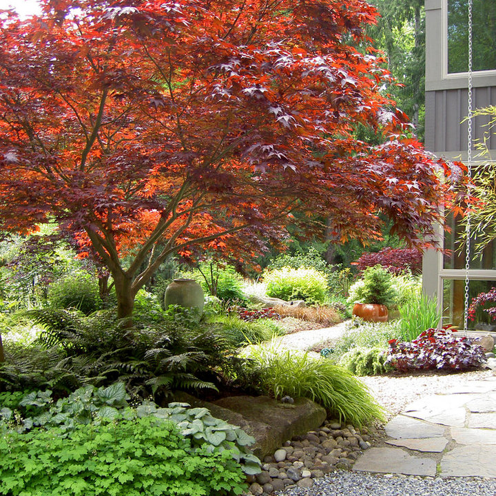 75 Landscaping for Fall Ideas You'll Love - October, 2025 | Houzz