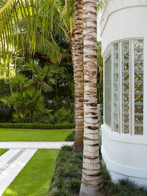 Best Contemporary Miami Landscape Design Ideas & Remodel Pictures | Houzz