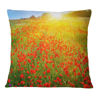 Beautiful Sunshine over Poppy Fields Floral Throw Pillow, 16"x16 ...