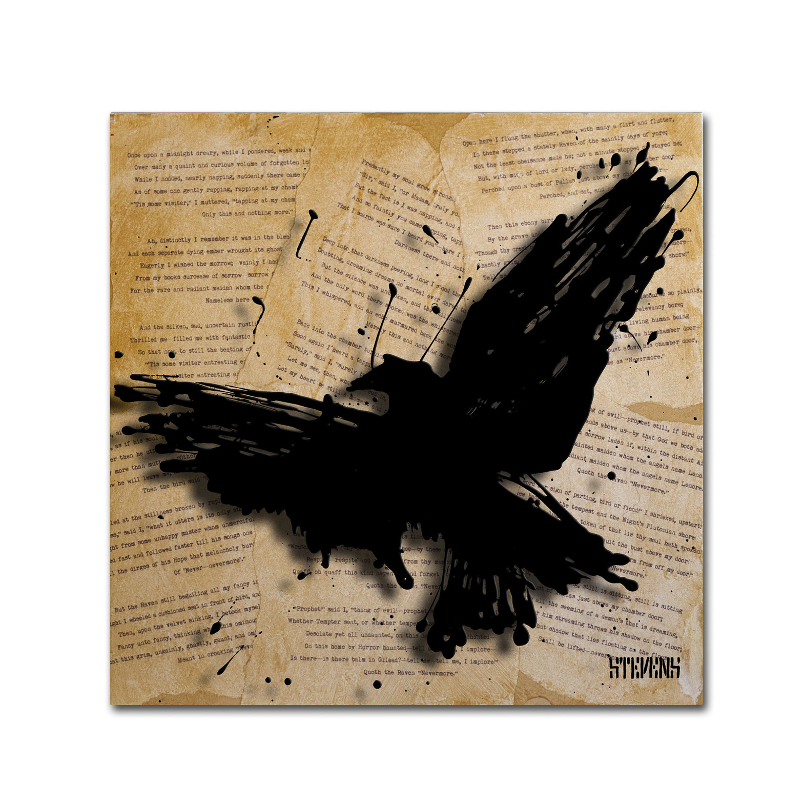 'The Raven 2' Canvas Art by Roderick Stevens, 18" x 18" - Transitional ...