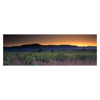 Vineyards on a Landscape, Napa Valley Panoramic Fabric Wall Mural, 48 ...