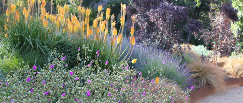 SYCAMORE DESIGN - Project Photos & Reviews - Woodside, CA US | Houzz