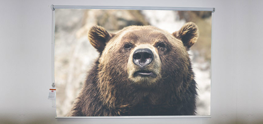 "Bear" Artwork, 3' Shade, Blackout, Left, 4' Shade - Rustic - Roller ...