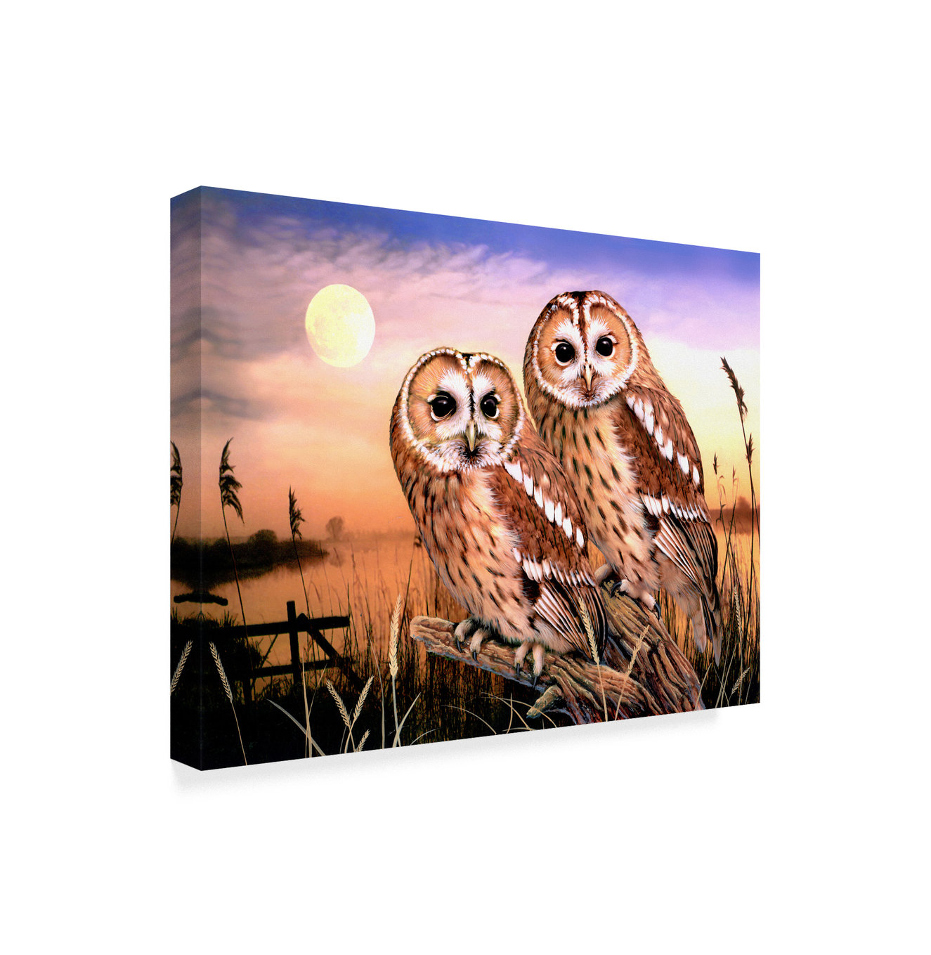 "Two Owls" by Howard Robinson, Canvas Art, 24"x18" - Rustic - Prints ...