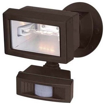 1 Light Mini Halogen Floodlight - Transitional - Outdoor Flood And Spot ...