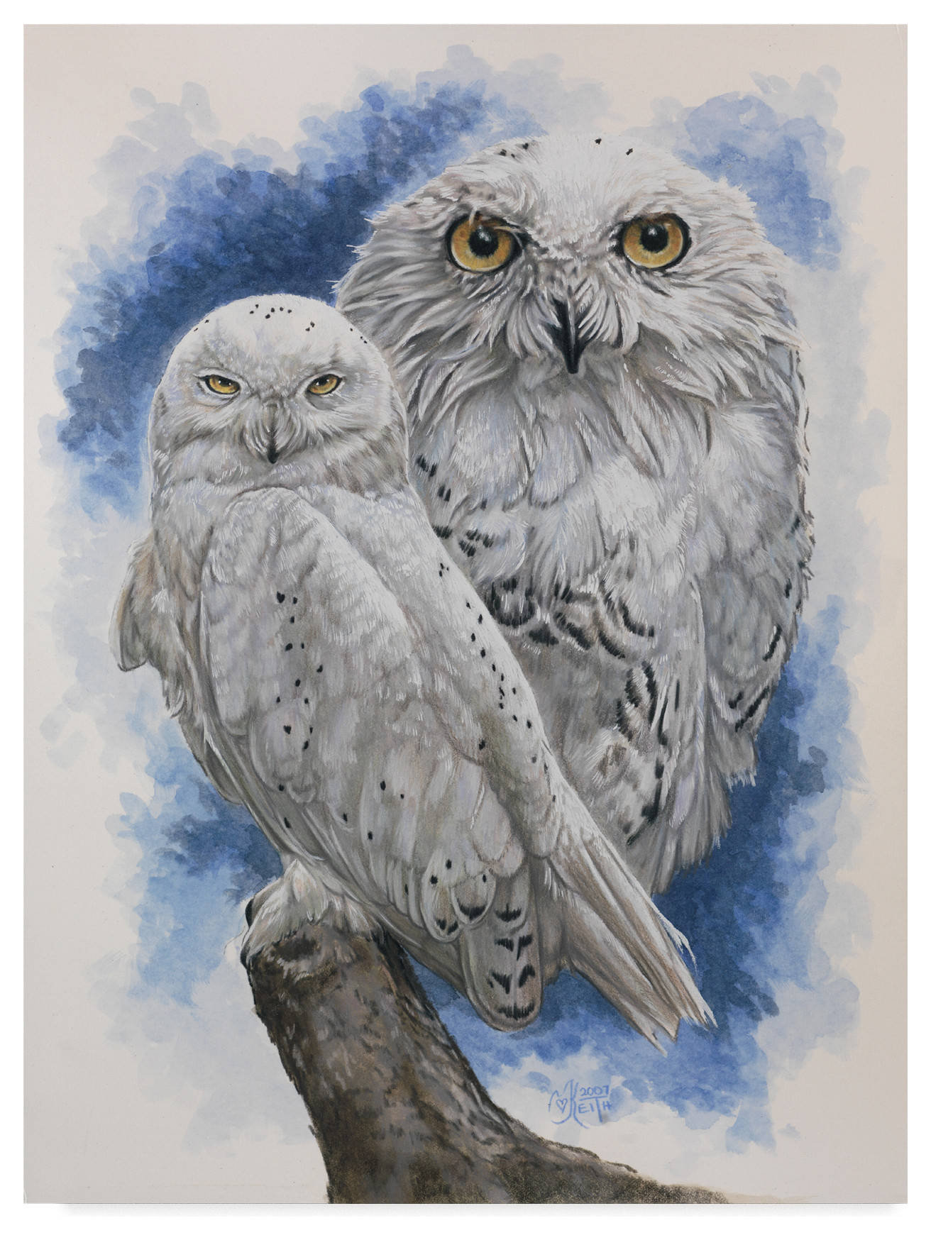 "Radiant" by Barbara Keith, Canvas Art, 24"x18" - Rustic - Prints And ...