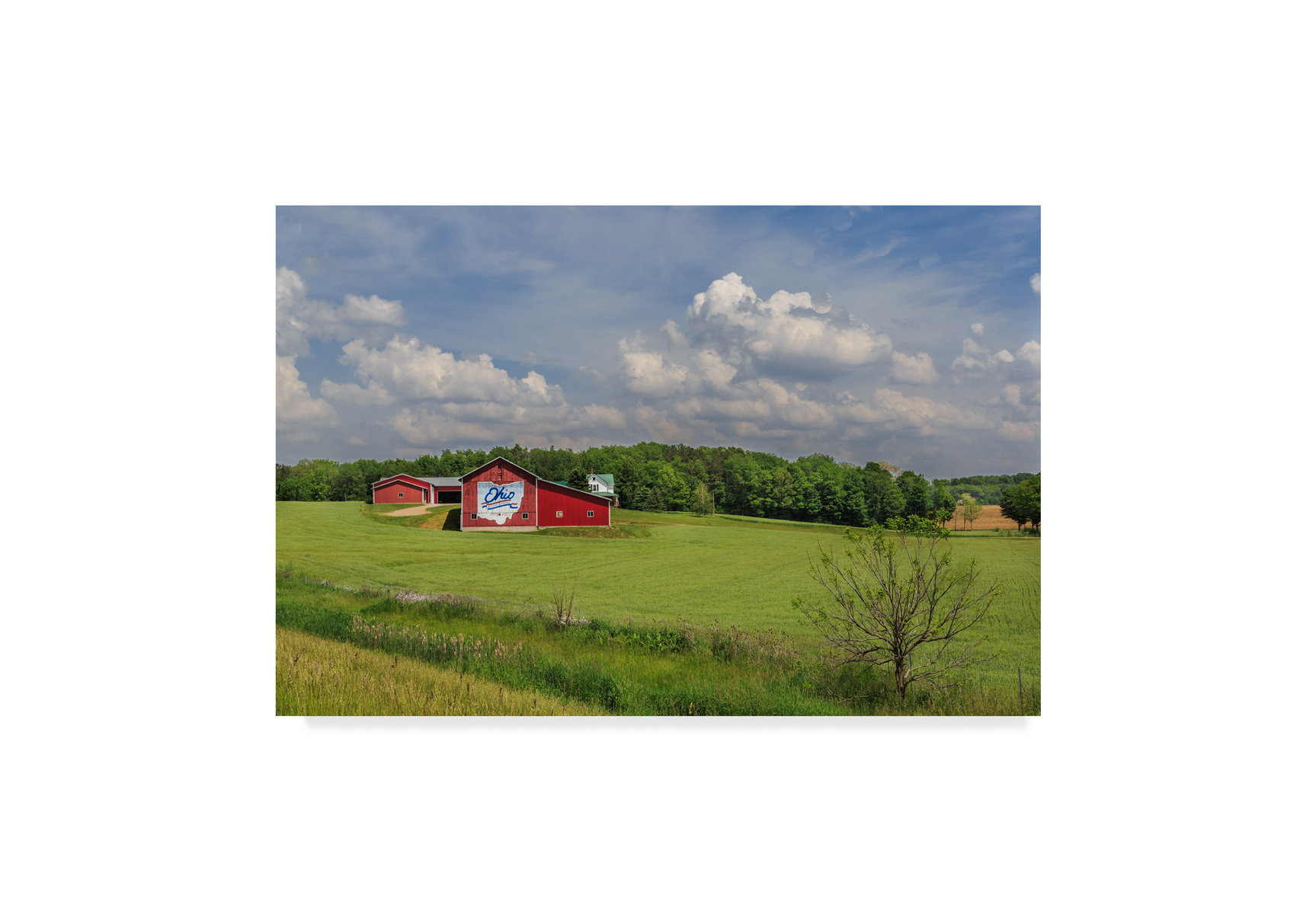 Galloimages Online 'Ohio Farm' Canvas Art, 19"x12" - Farmhouse - Prints ...
