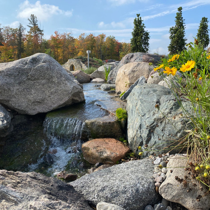 75 Rustic Waterfall Ideas You'll Love - March, 2025 | Houzz