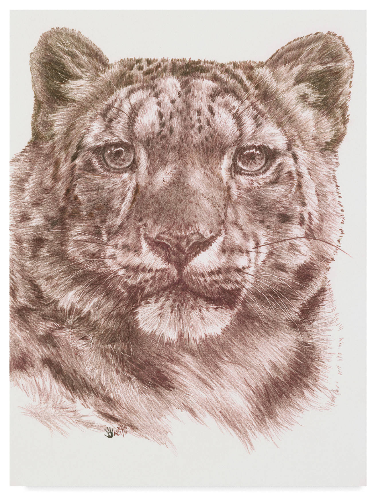 "Splendid" by Barbara Keith, Canvas Art, 24"x18" - Contemporary ...