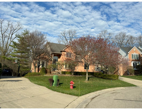 Exterior paint color with orange brick and sandtone windows