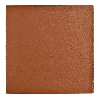 Klinker Quarry Floor and Wall Tile - Transitional - Accent Trim And ...