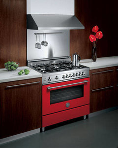 Need help Designing kitchen around red range