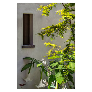 Laurelhurst Storybook Residence - Transitional - Exterior - Seattle ...