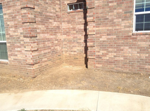 Inside corner foundation planting ideas