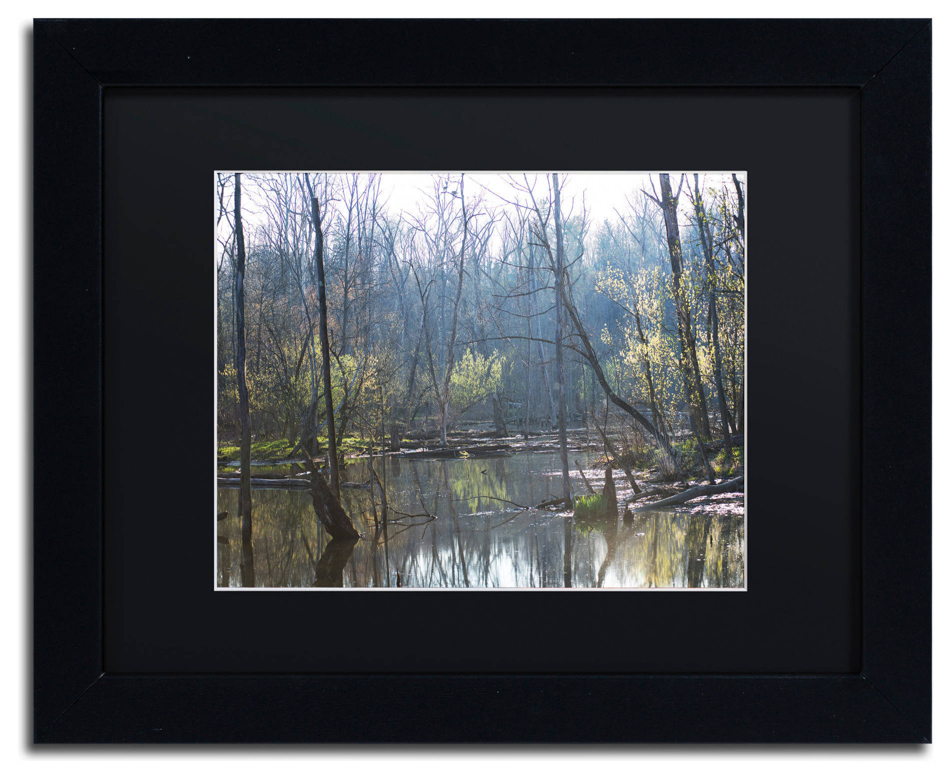 Kurt Shaffer 'Springtime in the Wetlands' Matted Framed Art, 11x14 ...