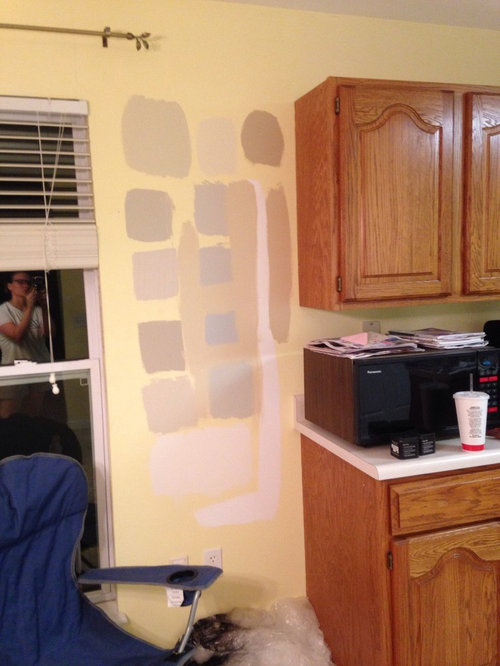 Struggling with kitchen color