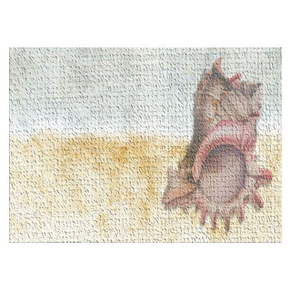 Beach And Nautical Style 2117 Area Rug, 5'0"x7'0" - Beach Style ...