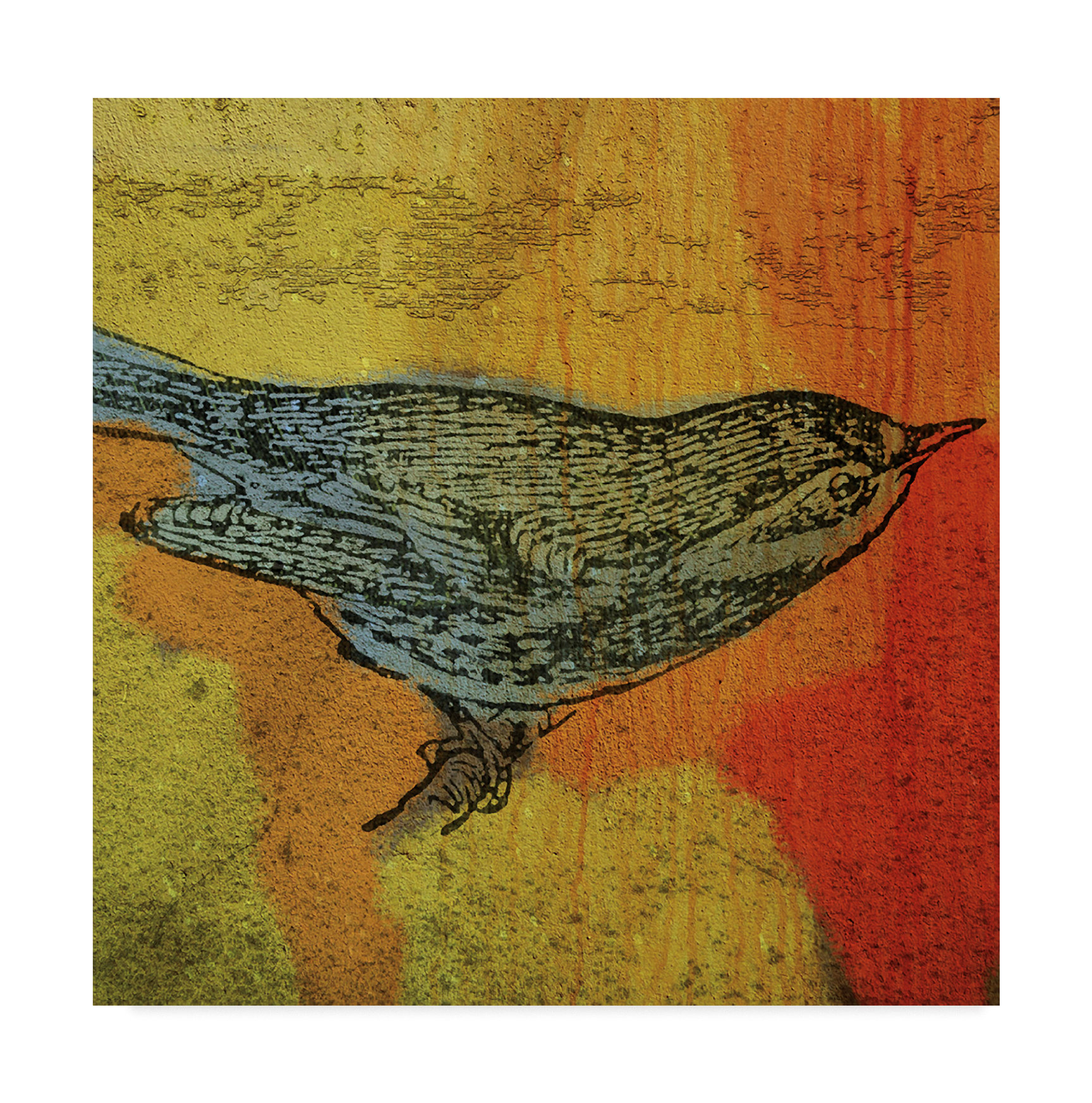John W. Golden 'Warbler' Canvas Art, 35"x35" - Contemporary - Prints ...