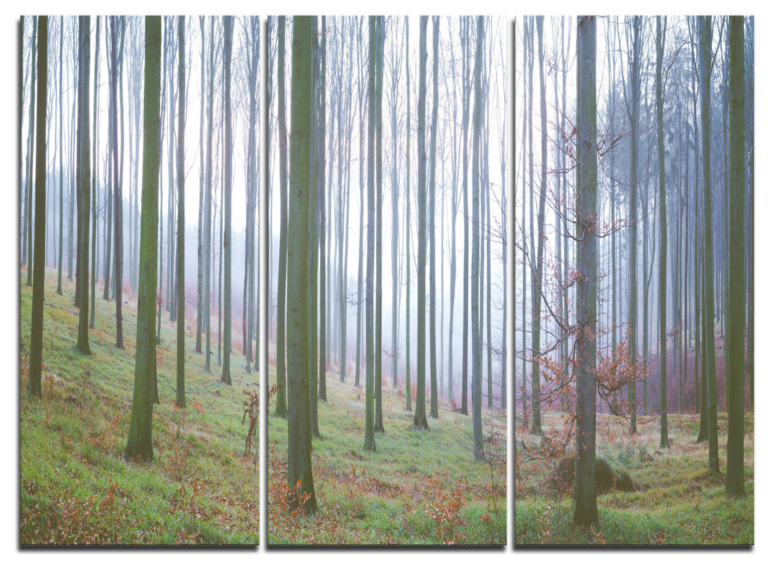 "Autumn Tree Trunks Panorama" Oversized Forest Canvas Artwork, 36"x28 ...