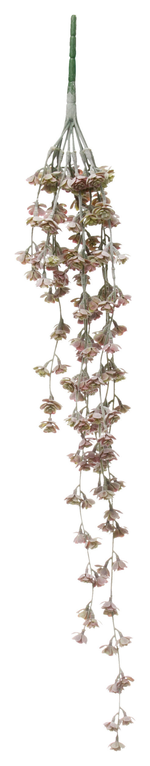 31"H Faux Trailing Succulent - Wreaths And Garlands - by Olive Grove ...