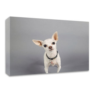 Psssst... by Susan Sabo, Print on Canvas, Ready to Hang - Contemporary ...