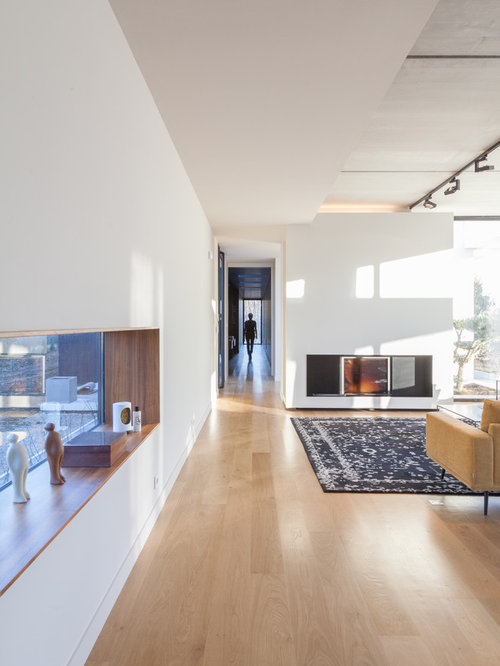 Best 15 Contemporary Hallway Ideas Designs Houzz best-15-contemporary-hallway-ideas-designs-houzz
