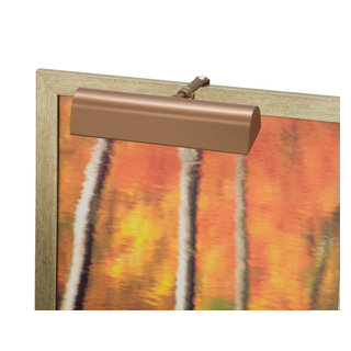 Traditional 9" Bronze CA Compliant Picture Light, Bronze - Transitional ...