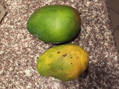 marathon mango from mexico- amazing
