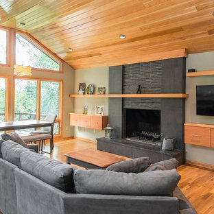 Asymmetrical Fireplace | Houzz