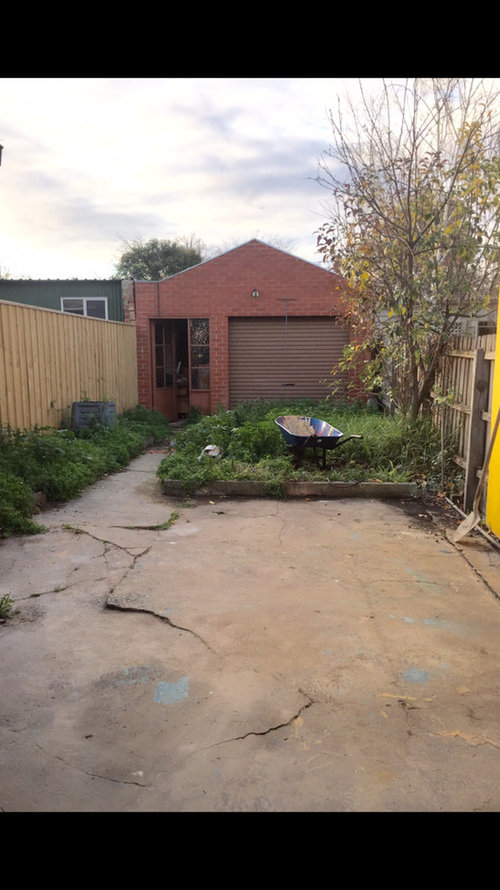 Help - ugly backyard, what to do?