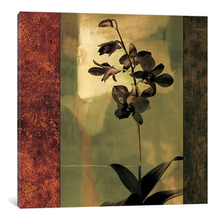 "Mesmerized II" by Chris Donovan, Canvas Print, 12x12x1.5 ...