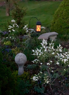 Lotus Moon Pearlbush